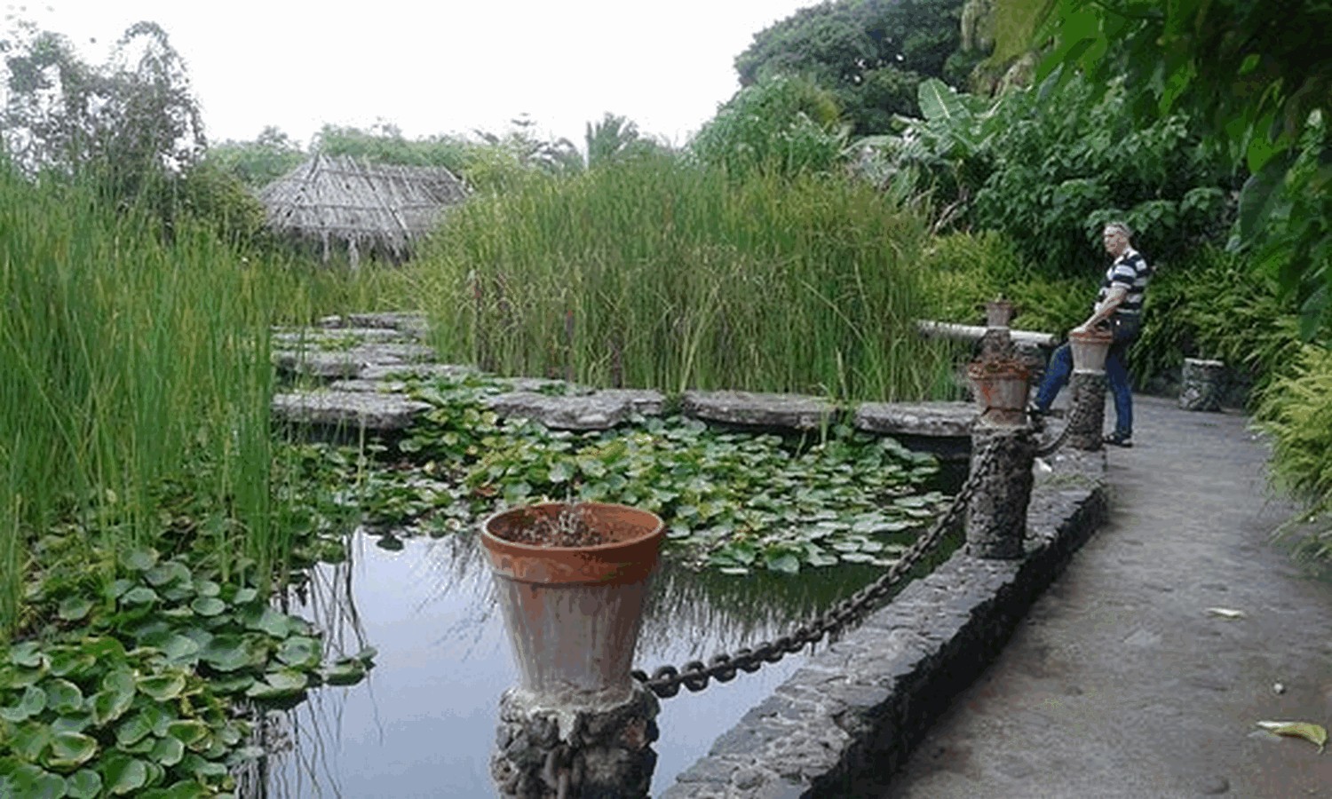 parque-taoro - Leggo Tenerife